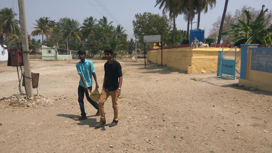 School Ground Cleaning activities and Temple cleaning - Jansons ...
